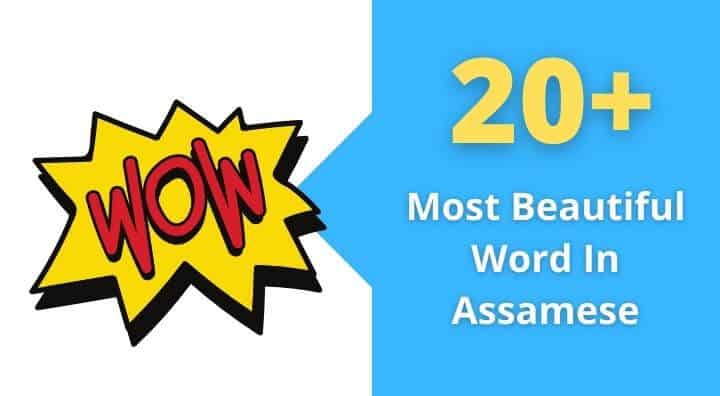 20 Most Beautiful Word In Assamese Make You Fall In Love